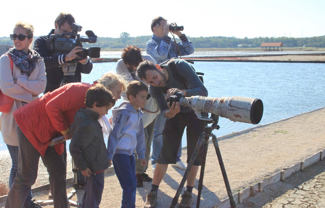 European Bird Watching Day – Events – Zadar region tourist board