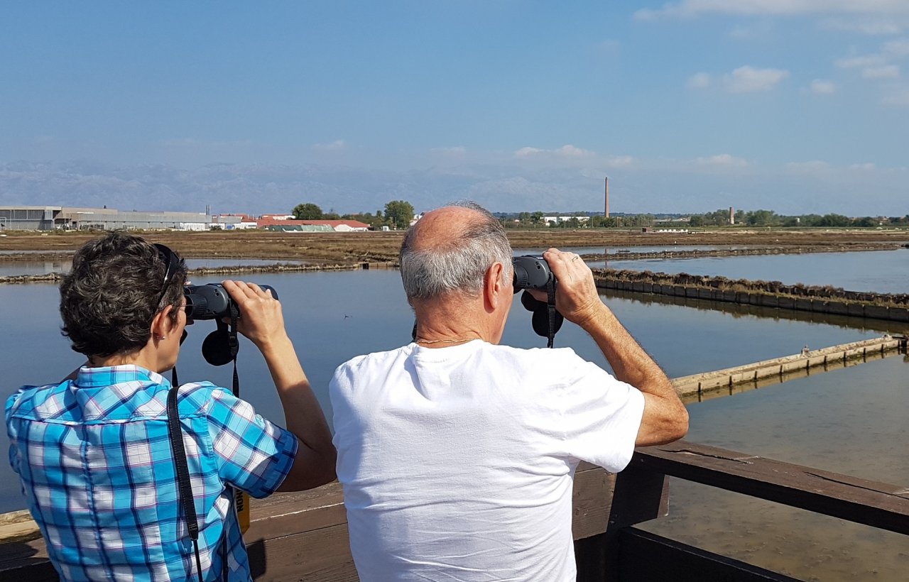 European Bird Watching Day – Events – Zadar region tourist board