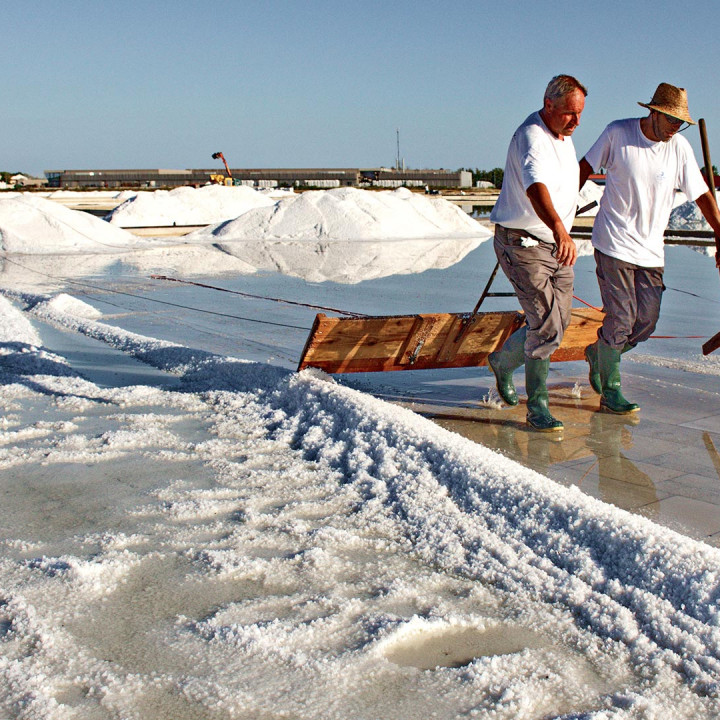 Events – Zadar region tourist board